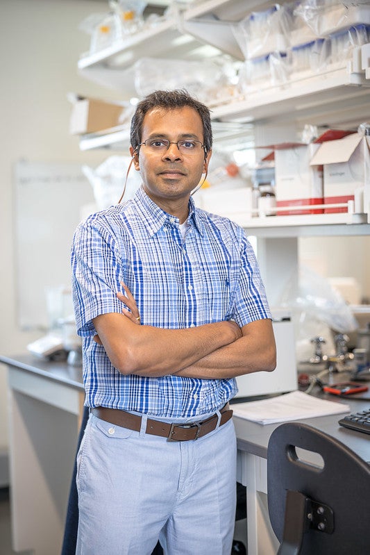 Faculty Team Awarded National Institute of Food and Agriculture Award to Improve Food Safety ...